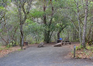 Bothe Napa Valley State Park | Napa Outdoors