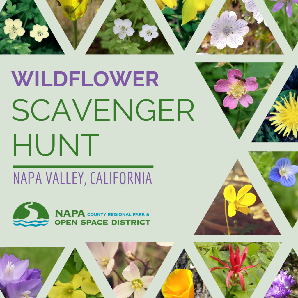 WFC Cover | Napa Outdoors